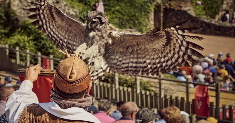 Attraction Le Bal des Oiseaux Fantômes du Puy du Fou (1) - Site web personnel de CYS Photographie